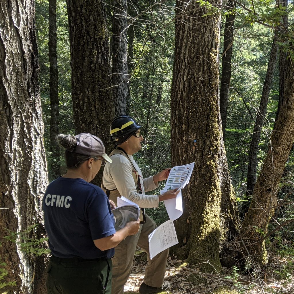 Traditional Learnings: Into the Field with Yurok and U.S. Forest ...
